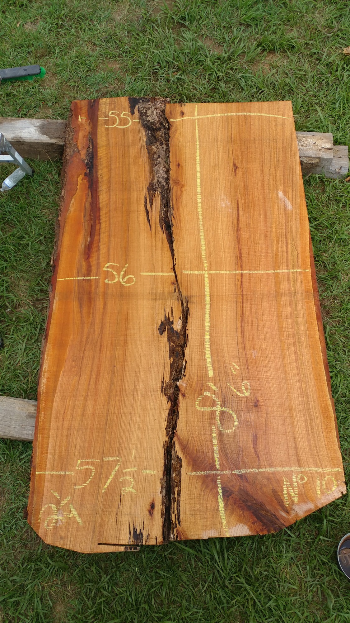 Pin Oak 57" wide x 8' 6" long 1-10 - OddWood Lumber