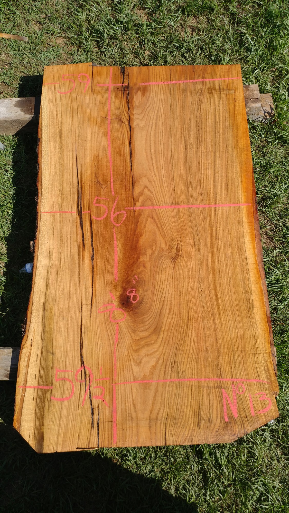Pin Oak - Live Edge - Furniture Grade Lumber - OddWood Lumber