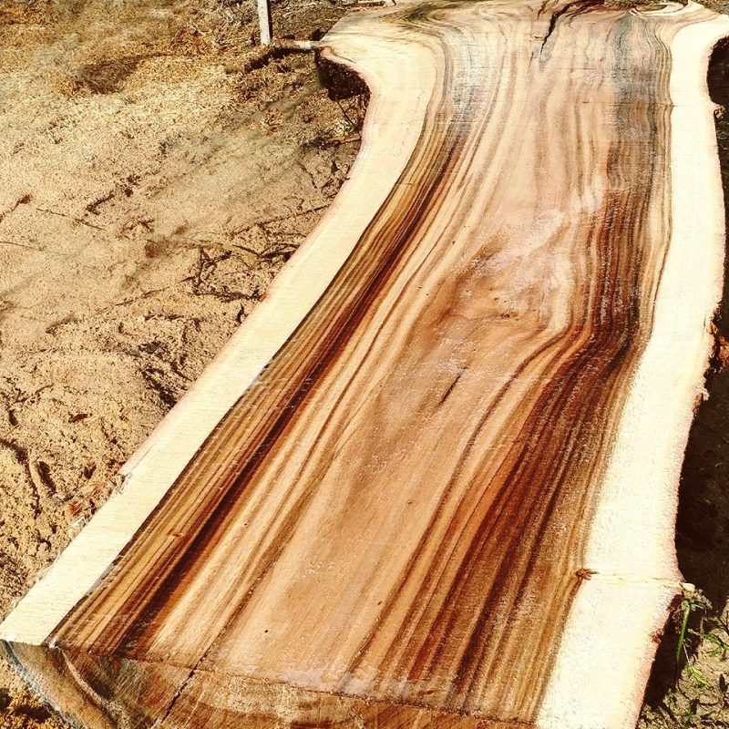 Live Edge Slabs - OddWood Lumber - Furniture Grade Lumber