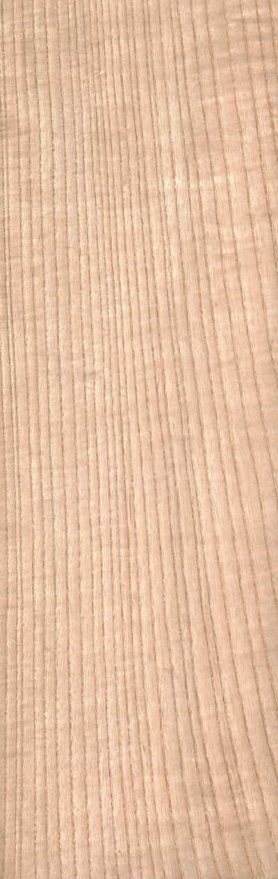 White Ash (Fraxinus americana) - OddWood Lumber