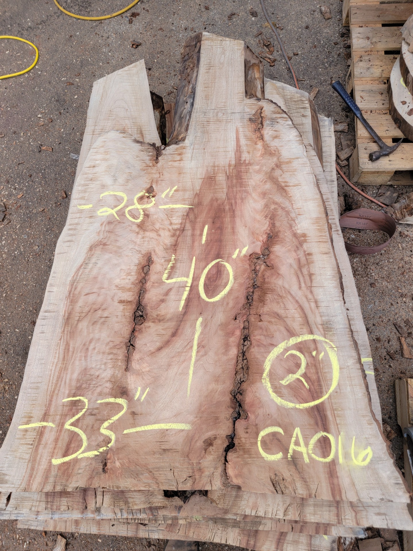 Camphor (Cinnamomum camphora) - Page 2 of 2 - OddWood Lumber