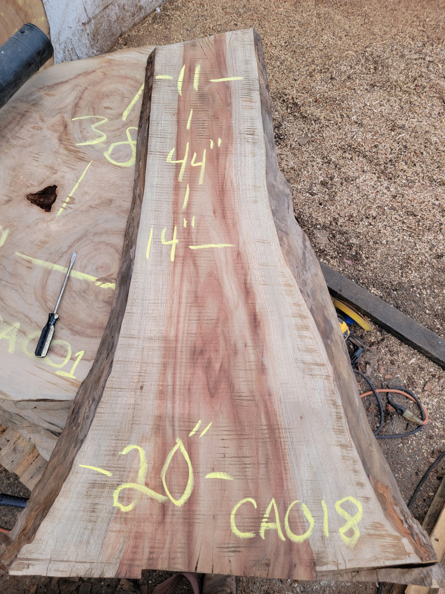 Camphor (Cinnamomum camphora) - Page 2 of 2 - OddWood Lumber