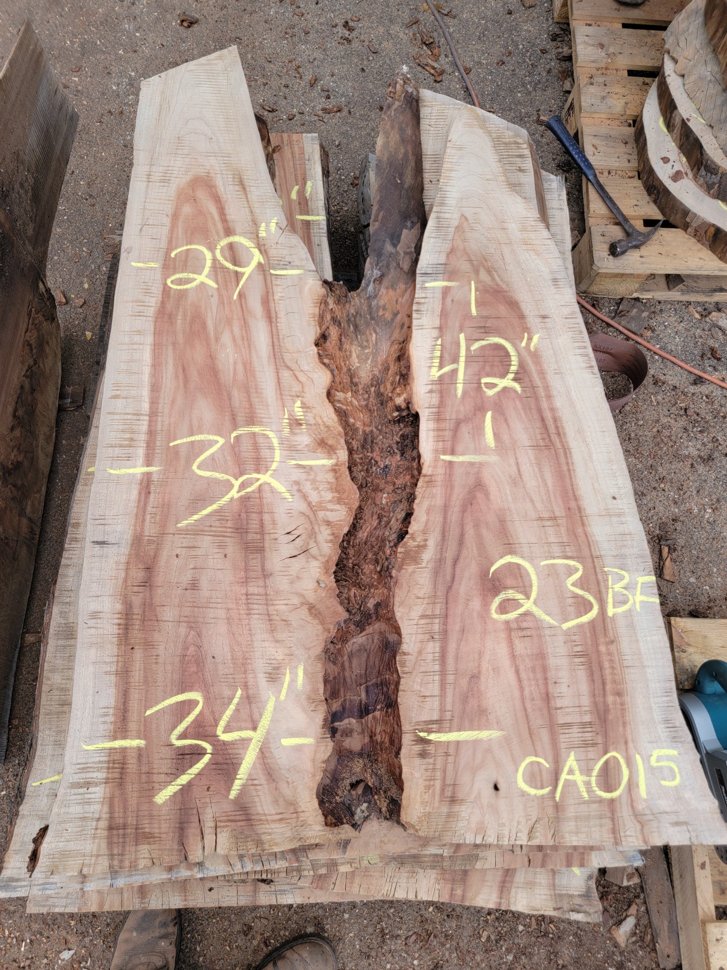 Camphor (Cinnamomum camphora) - Page 2 of 2 - OddWood Lumber