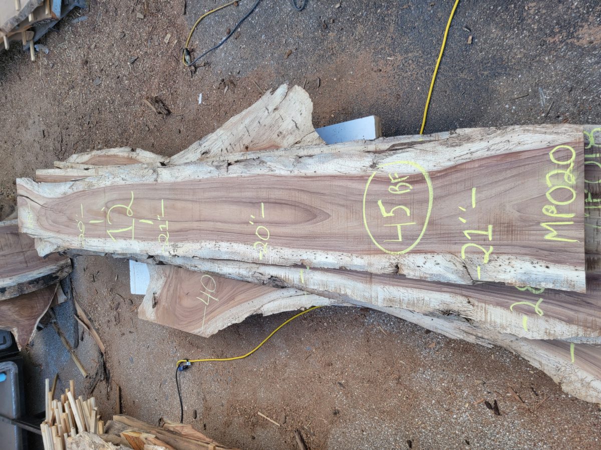 Monkey Pod/Parota MP012 26” wide x 40” long - OddWood Lumber