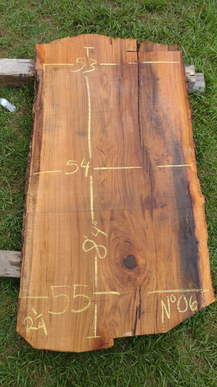 Pin Oak - Live Edge - Furniture Grade Lumber - OddWood Lumber